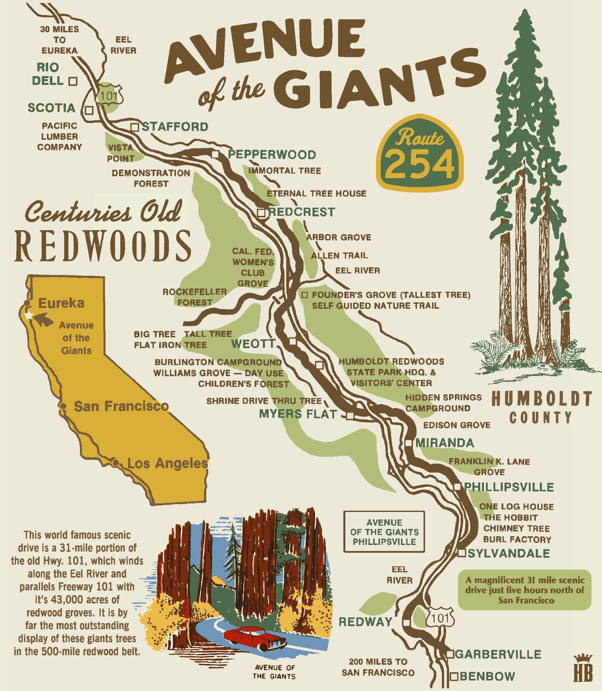 Kid's Avenue of the Giants T-Shirt - California Redwoods – Honour Brand ...